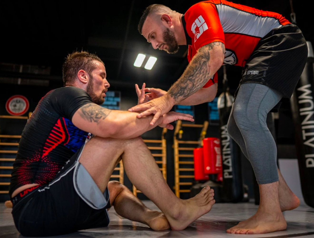 Apex/Double Phoenix Jiu-Jitsu MMA Program