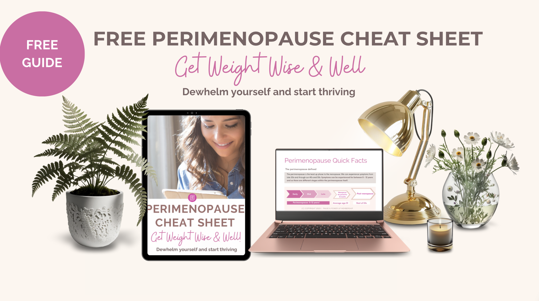 FREE Perimenopause Cheat Sheet