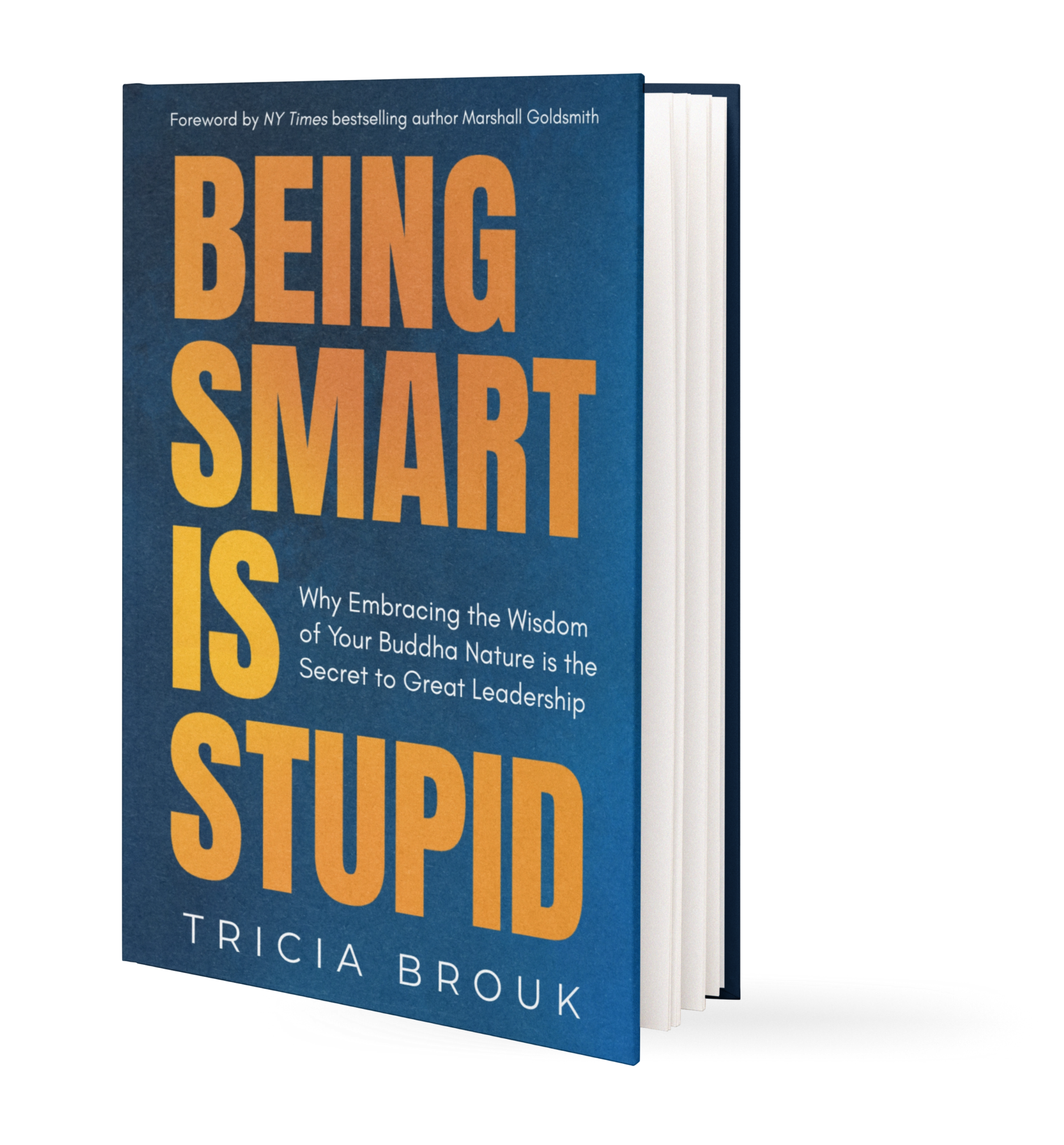 Being Smart is Stupid