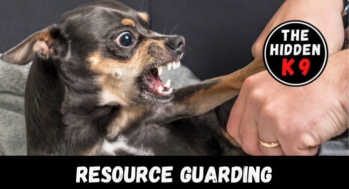The Hidden K9 - helping you to deal with Resource Guarding