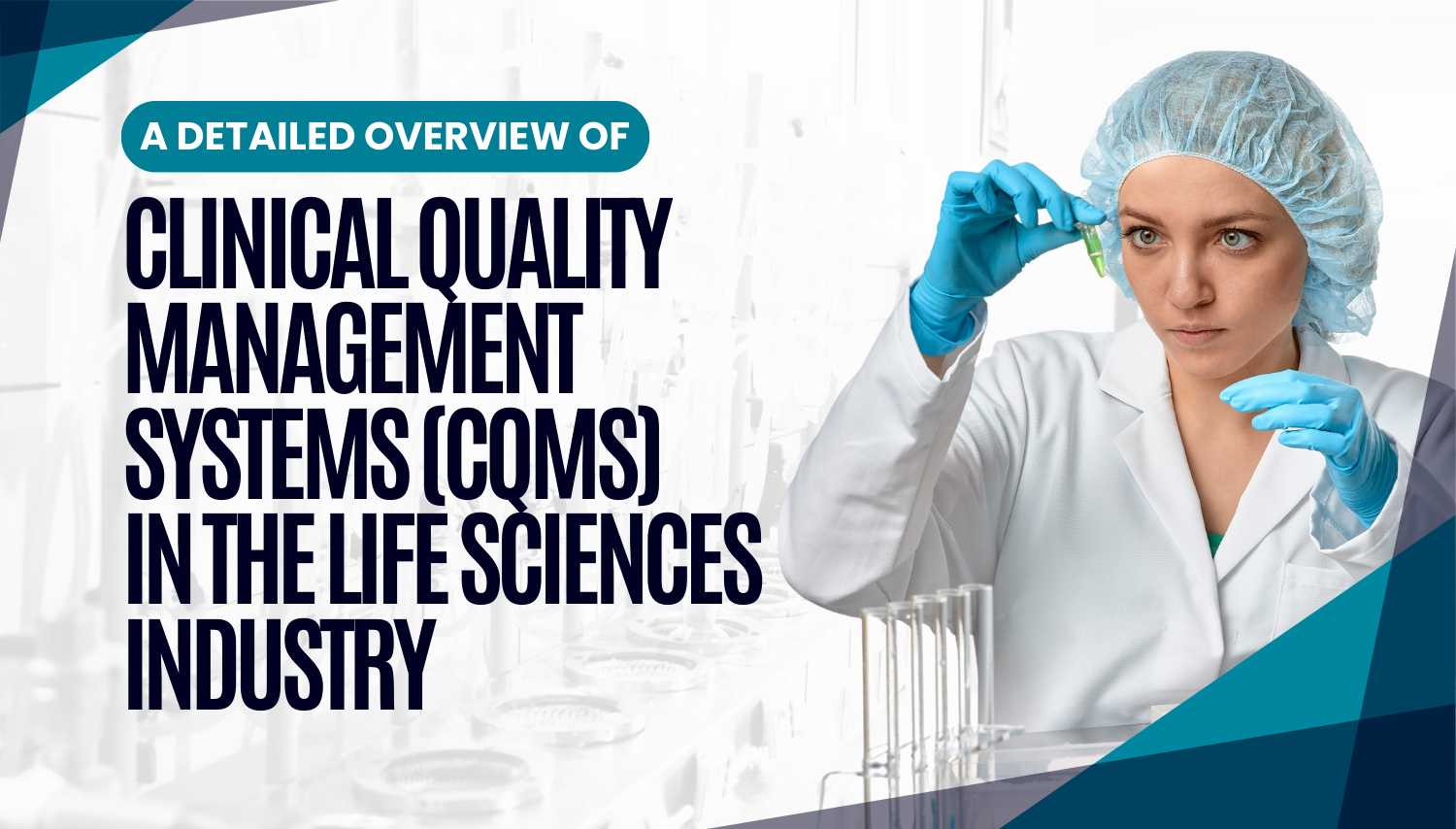 A Detailed Overview of Clinical Quality Management Systems (CQMS) in ...