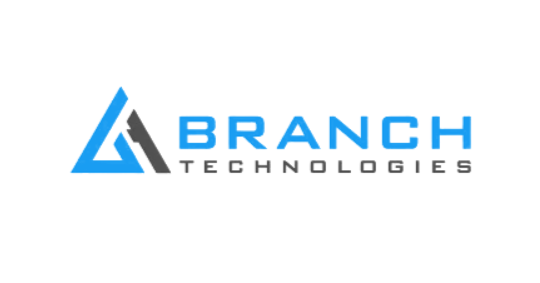 South Carolina IT Support & Managed IT Services | Branch Technologies