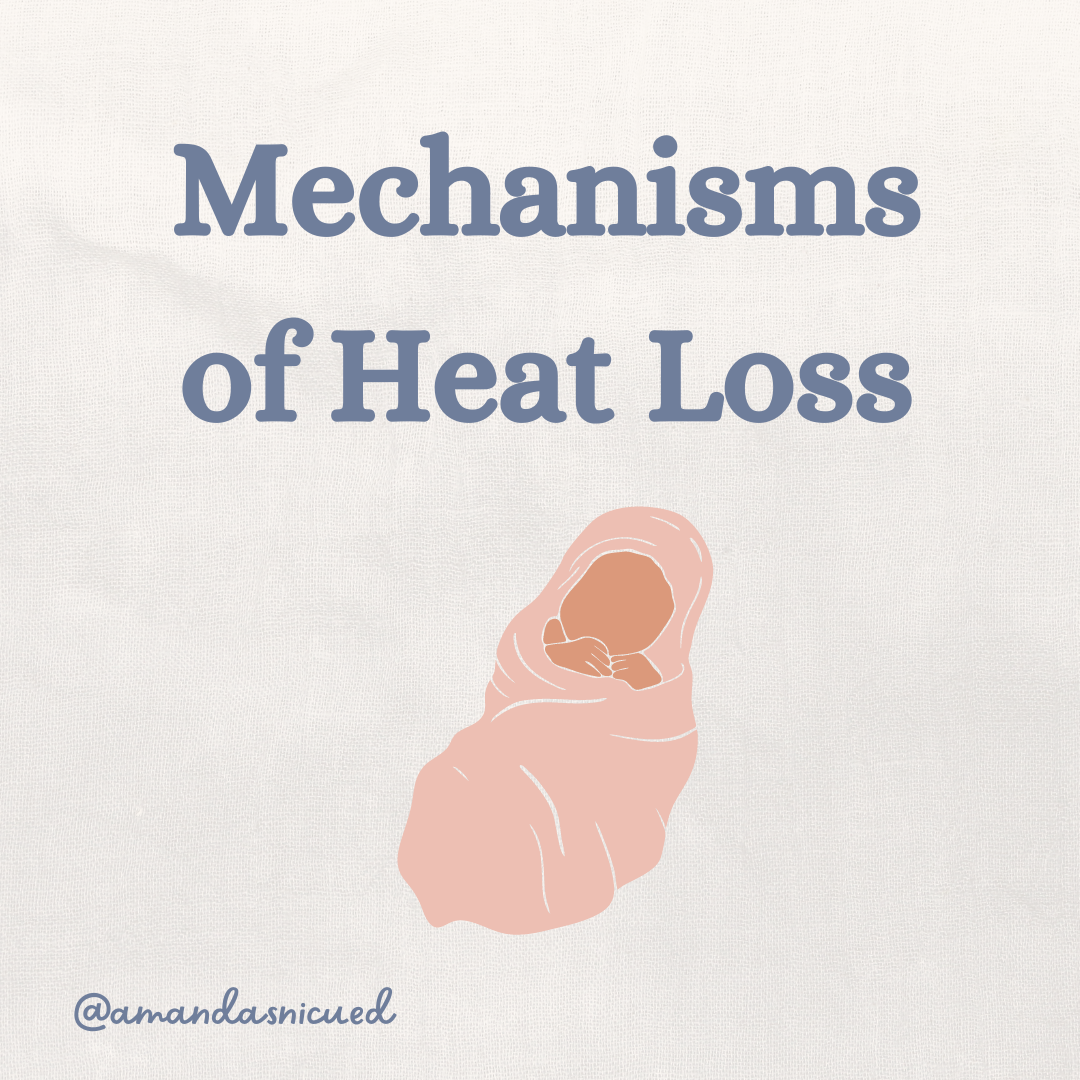 Mechanisms of Heat Loss