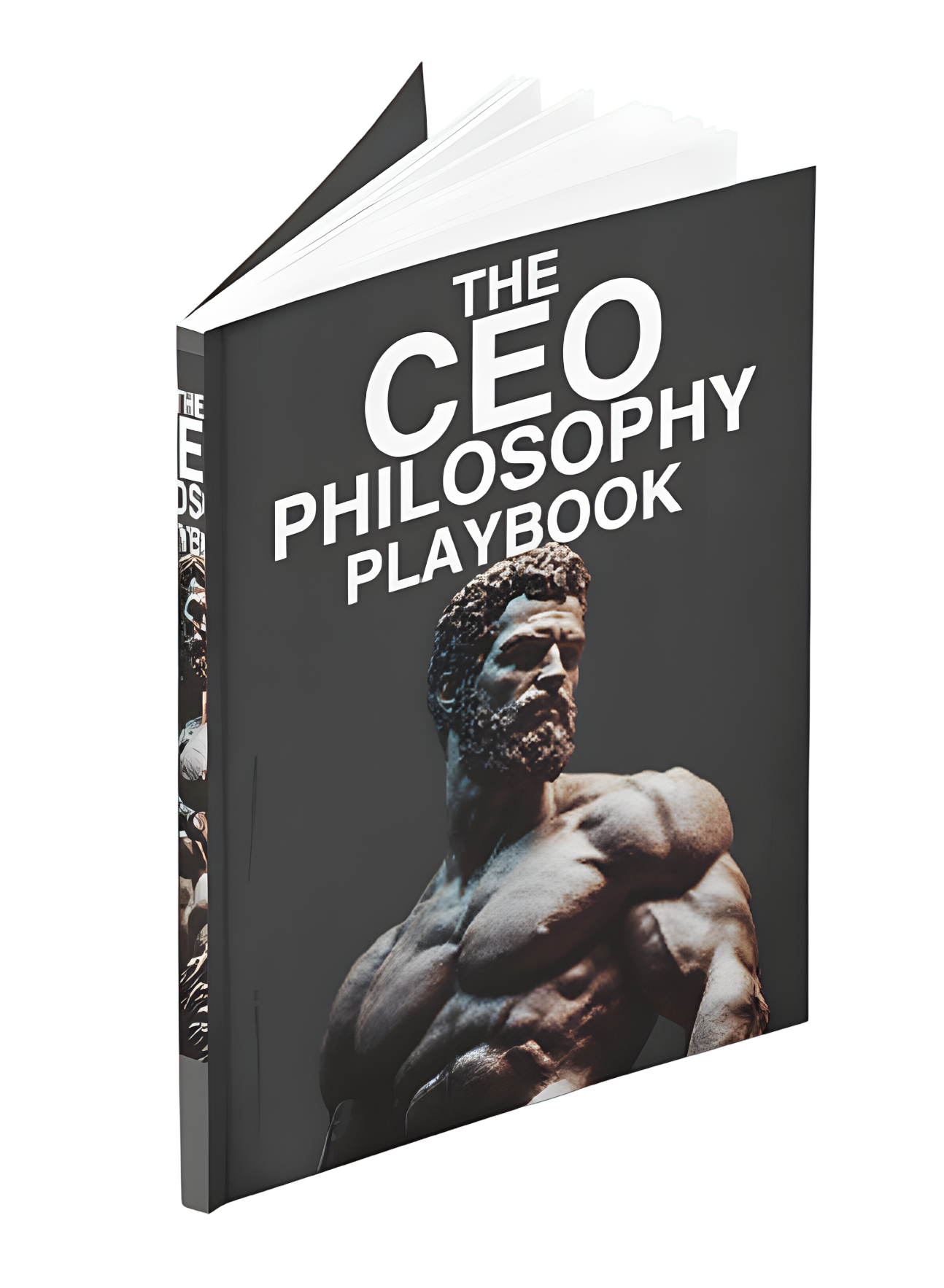 The CEO Philosophy Playbook - FREE playbook