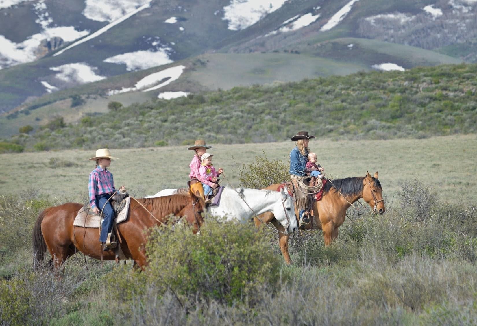 Discover the Regenerative Farming Strategy That is Boosting Farm ...