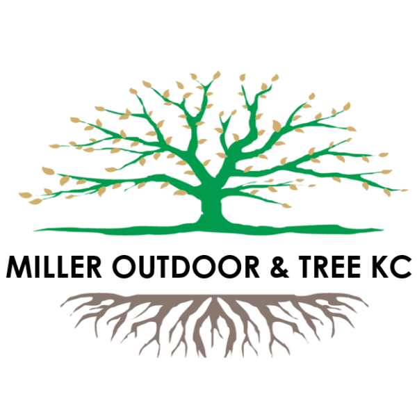 Miller Outdoor and Tree KC | Tree Service in the Kansas City Area