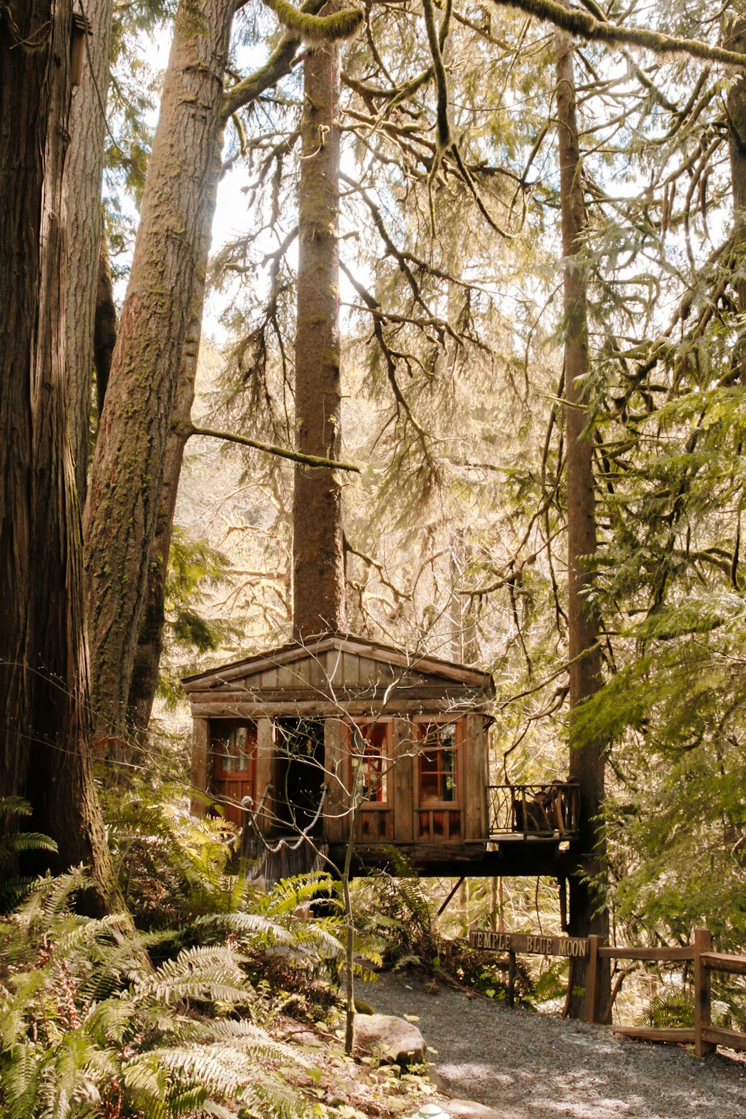 Wild Awakening Retreat May 16-18, 2025