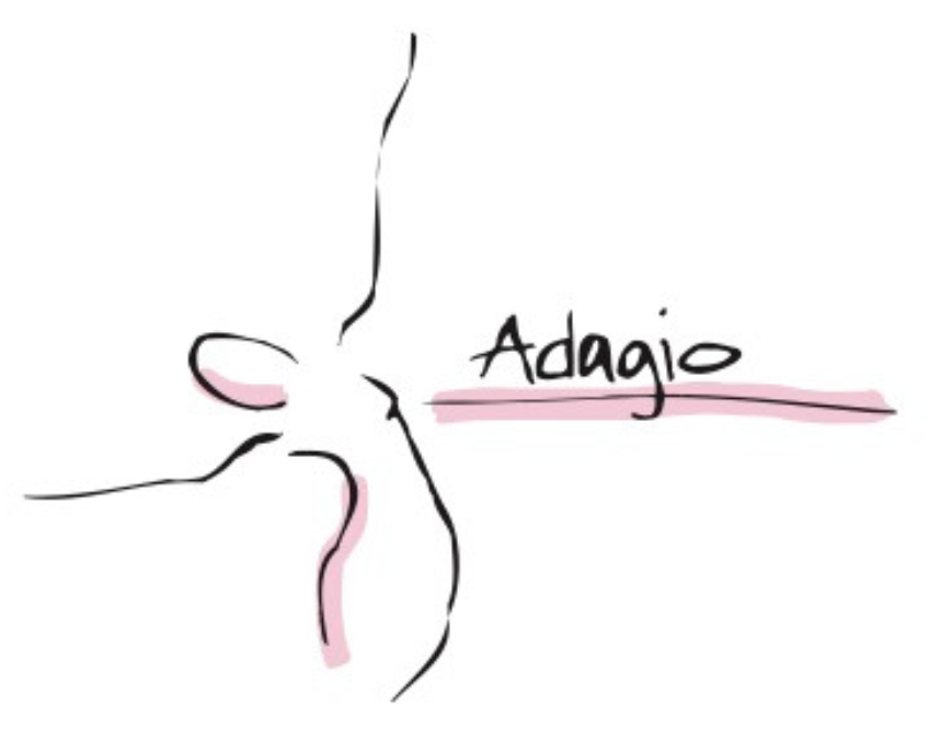 Adagio Dance Academy | Online Store