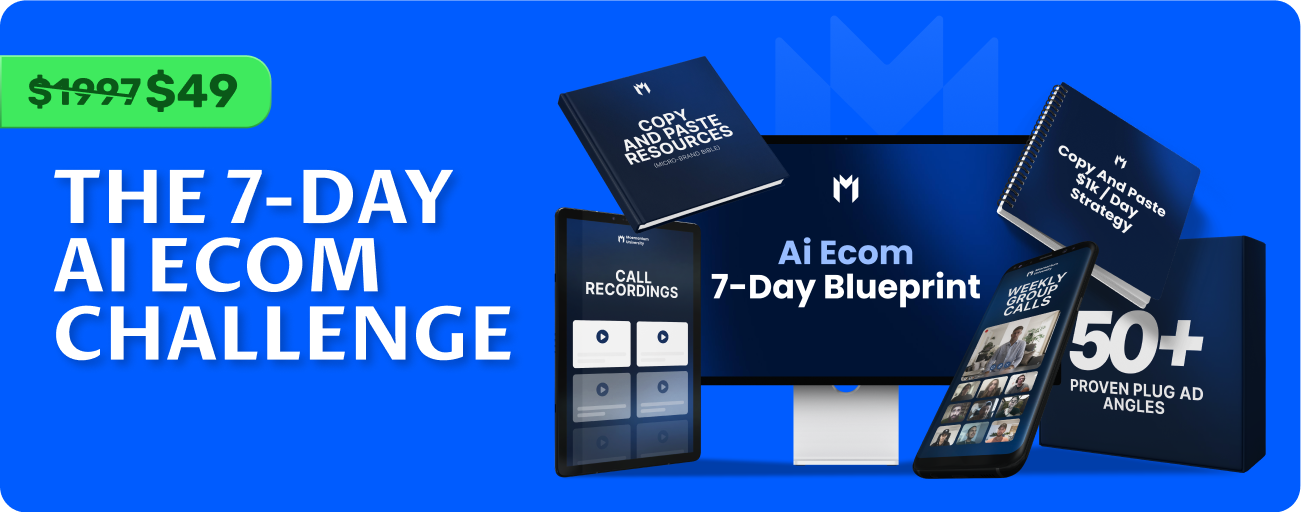 The 7-Day AI Ecom Challenge