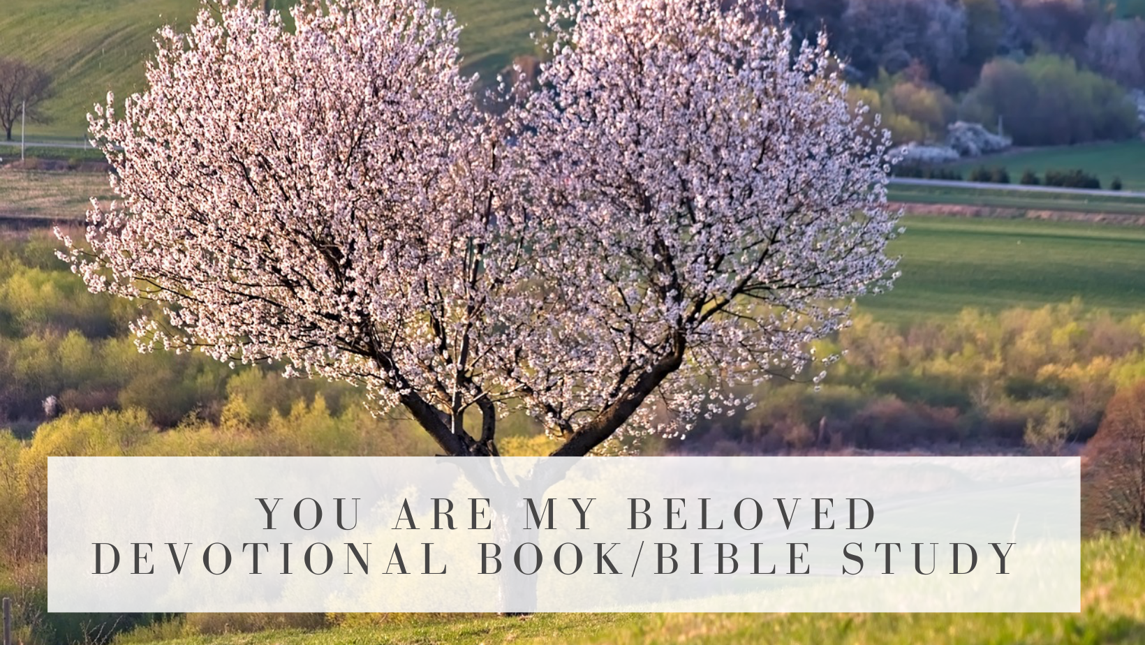 "You are My Beloved" Book Study