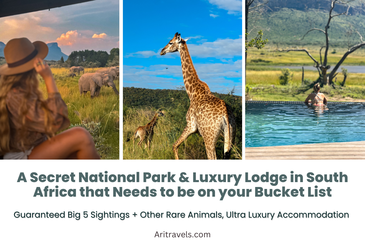 South Africa's Best-Kept Safari Secret: Entabeni National Park