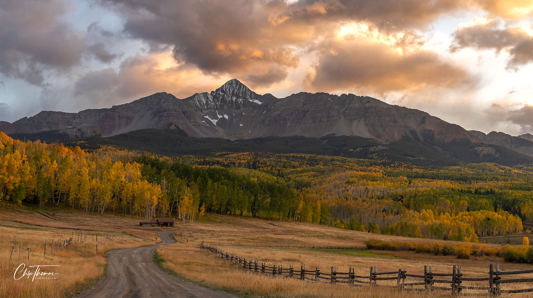 Chip Thomas Photography