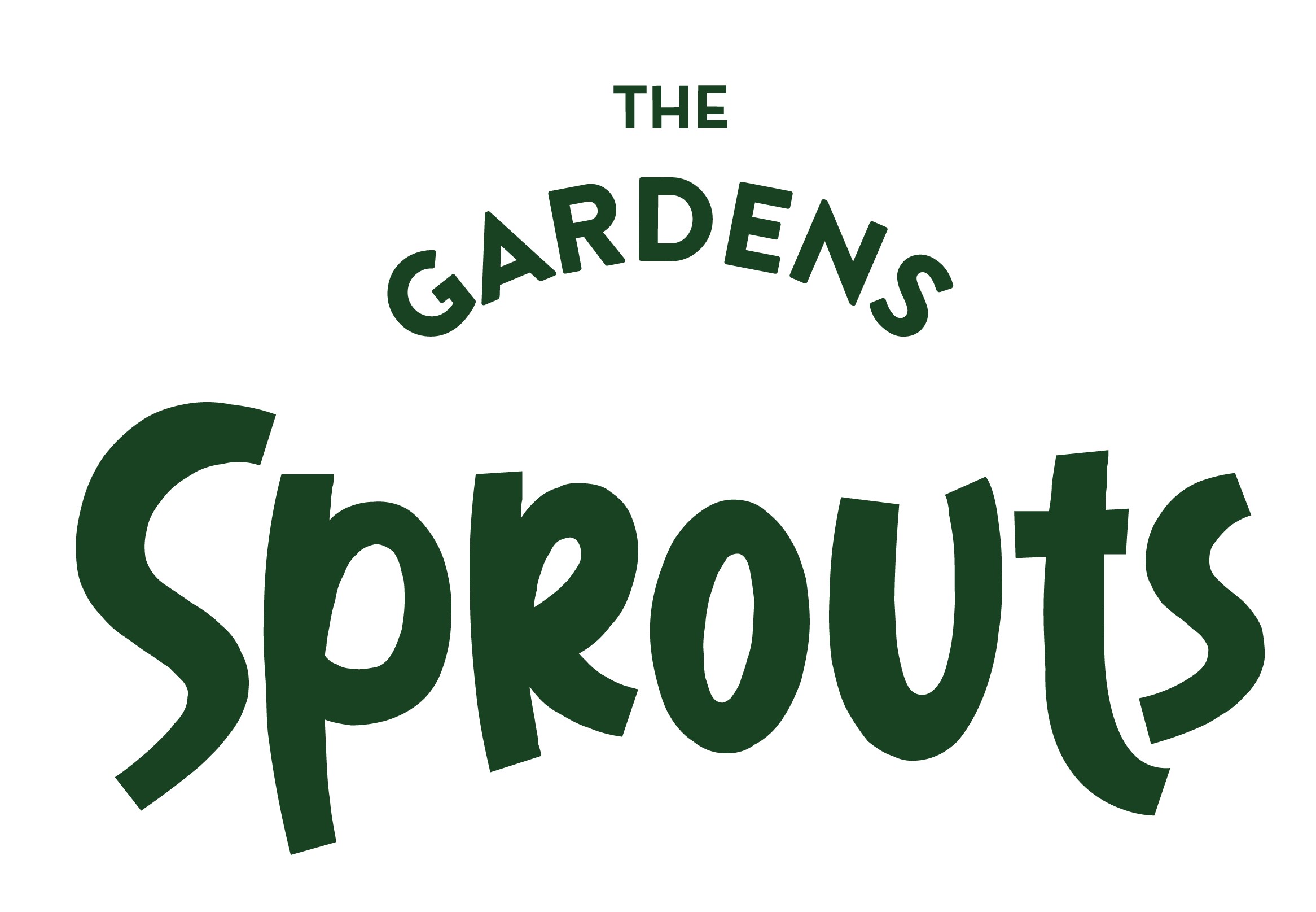 Sprouts indoor kids play area