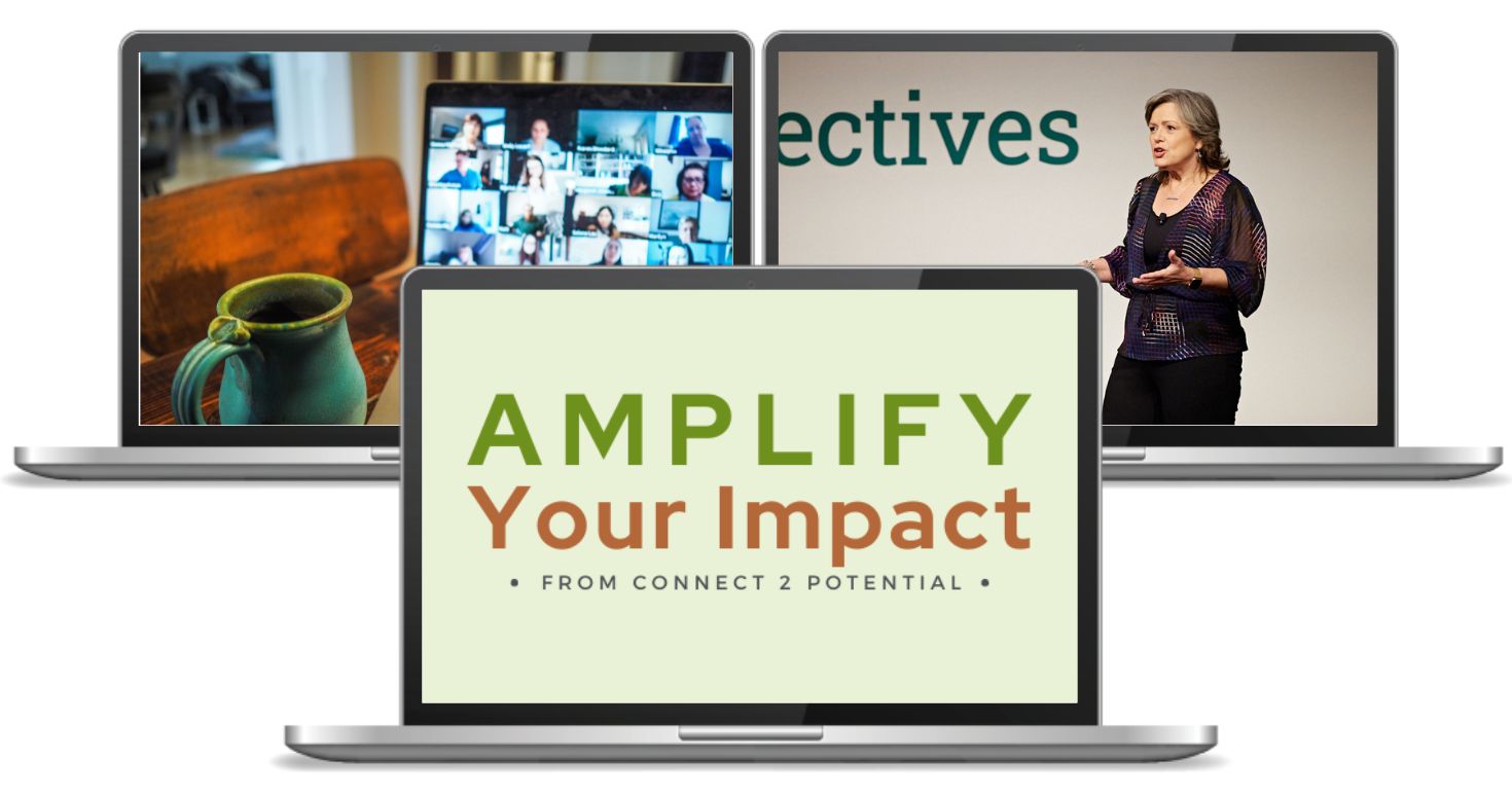 Amplify Your Impact Workshop Series