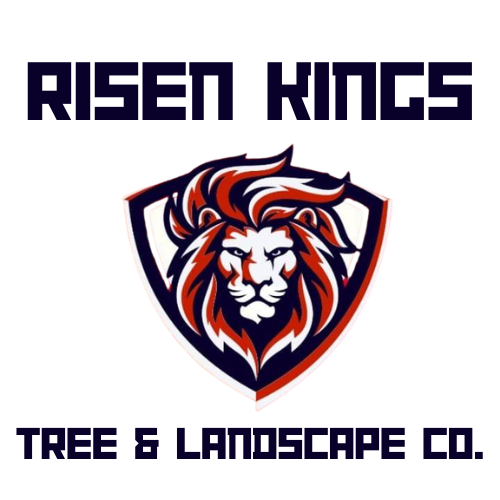 Arizona's Best Lawn Care and Landscaping Services | Risen Kings