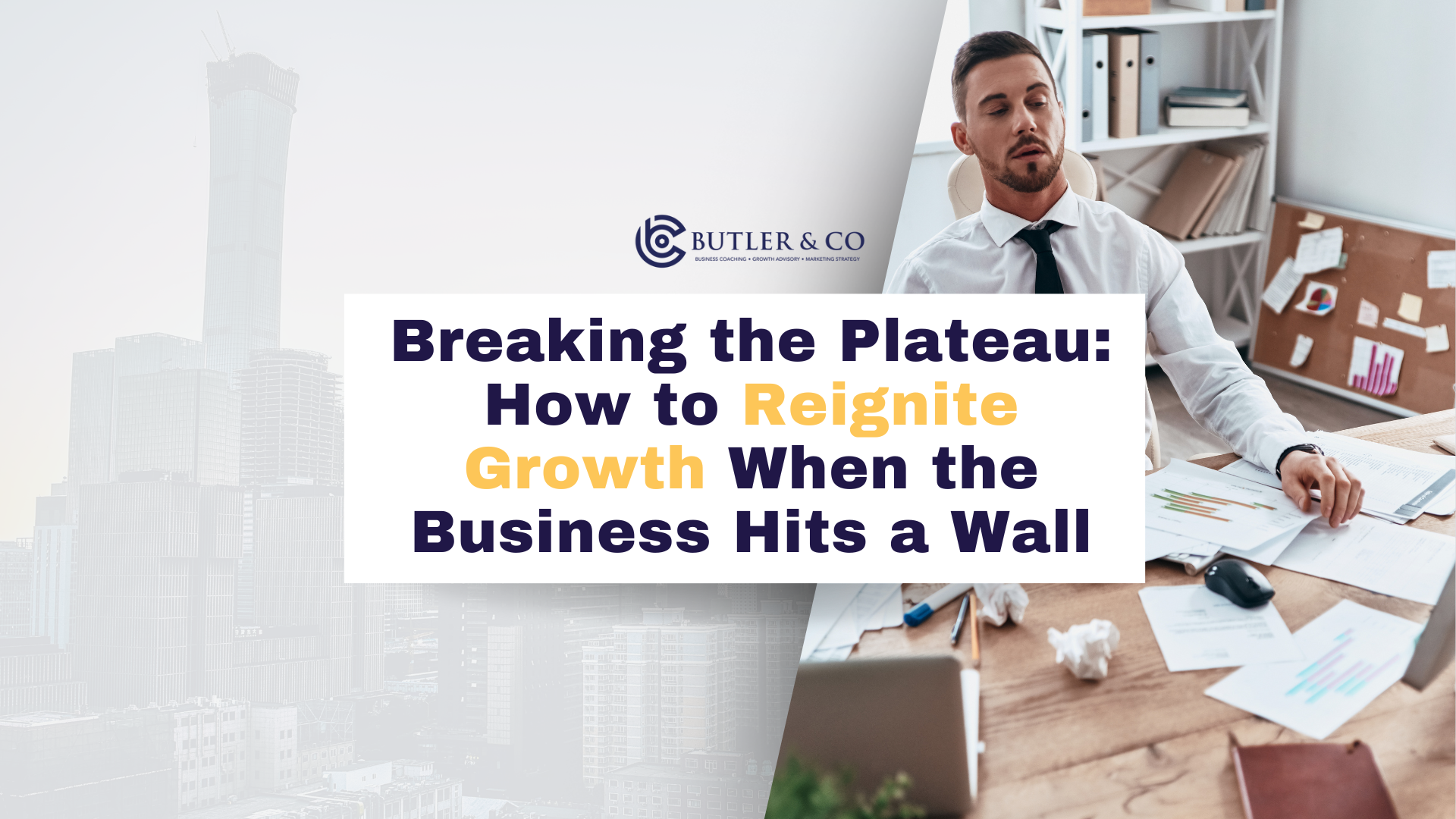 Breaking the Plateau: How to Reignite Growth When the Business Hits a Wall