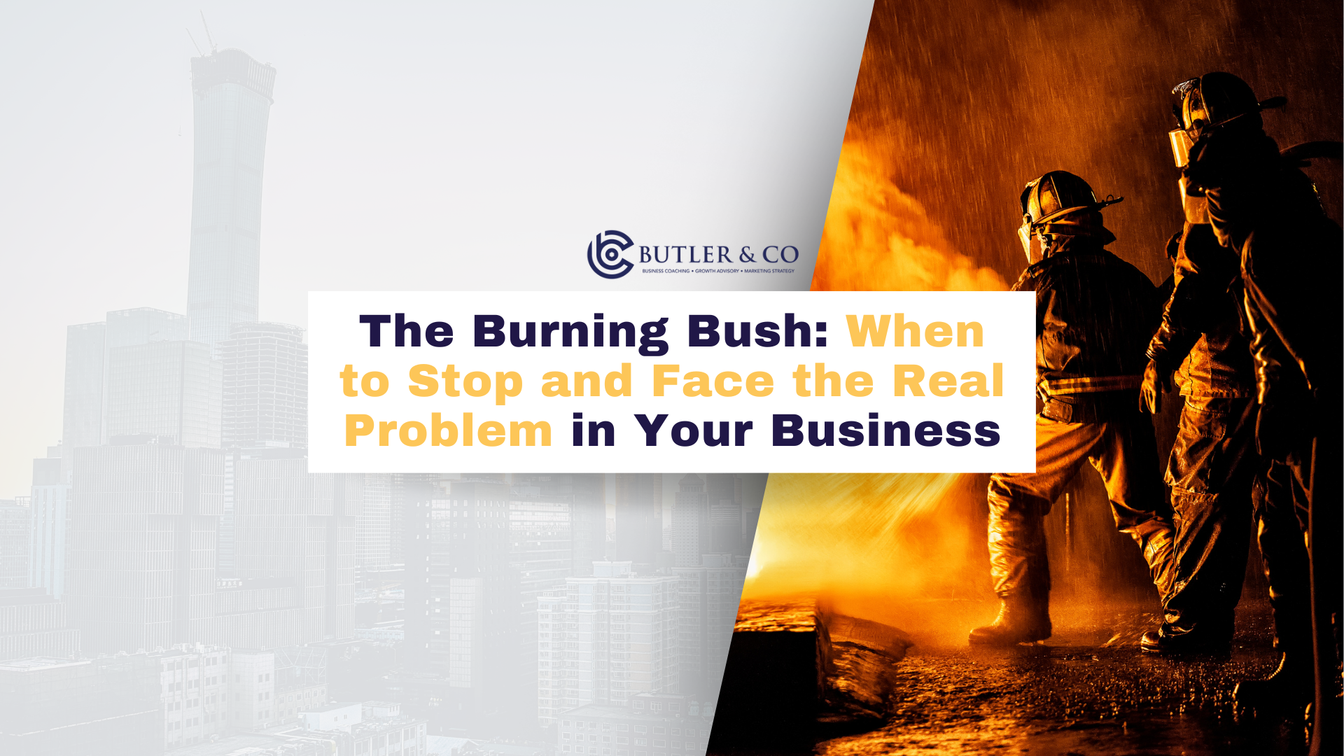 The Burning Bush: When to Stop and Face the Real Problem in Your Business