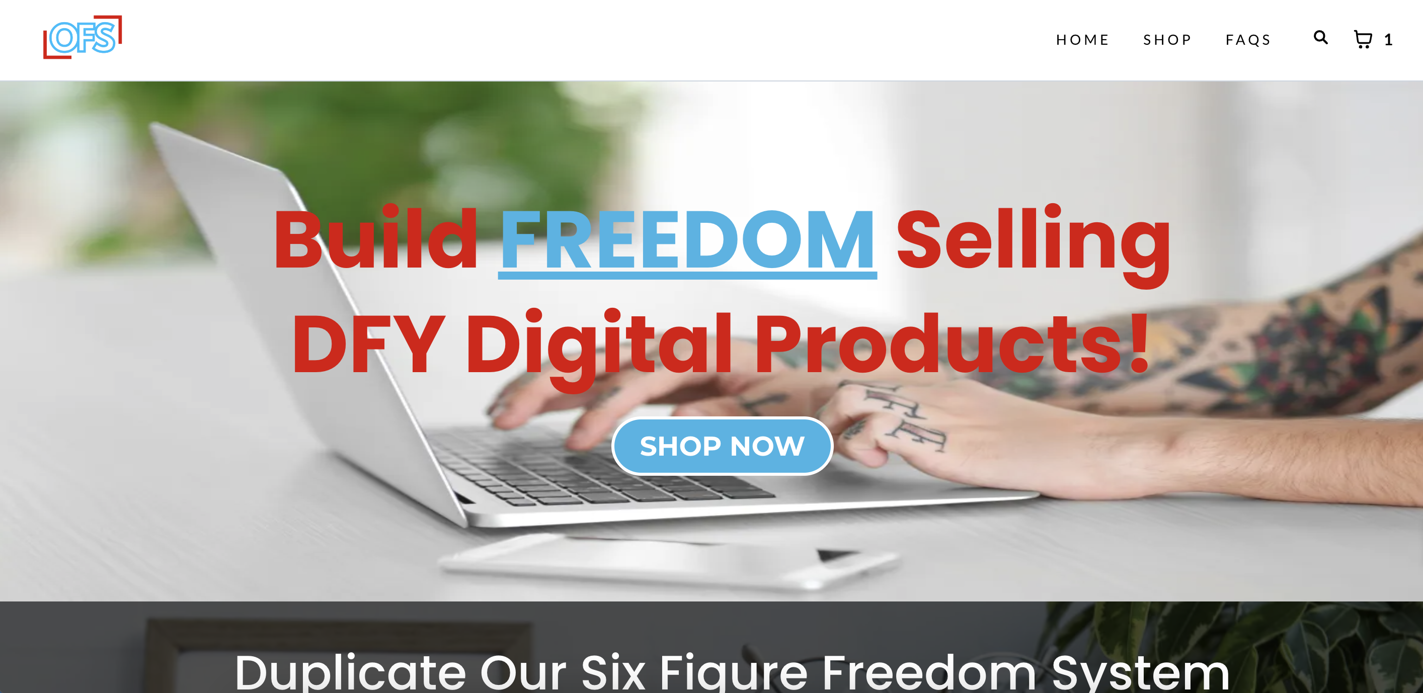 Online Freedom Systems
