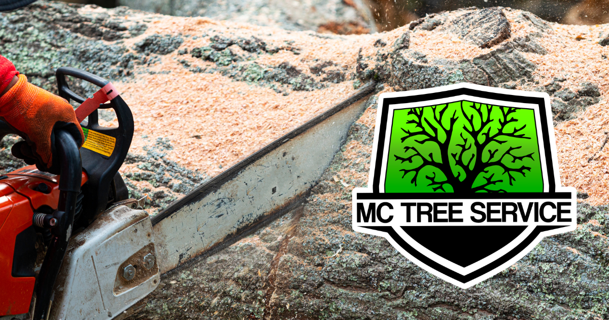 MC Tree Service - Decatur, Illinois | Tree Removal Decatur Mount Zion ...
