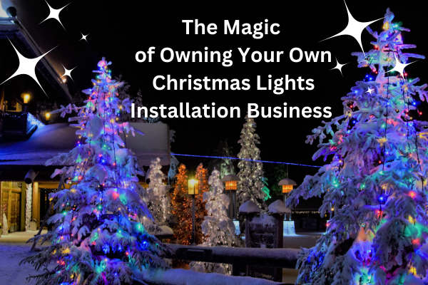 Illuminating the Season: The Professional Christmas Light Installation ...