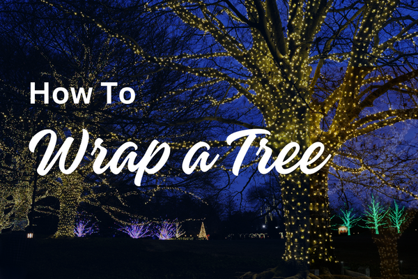How to Wrap a Tree with Christmas Lights