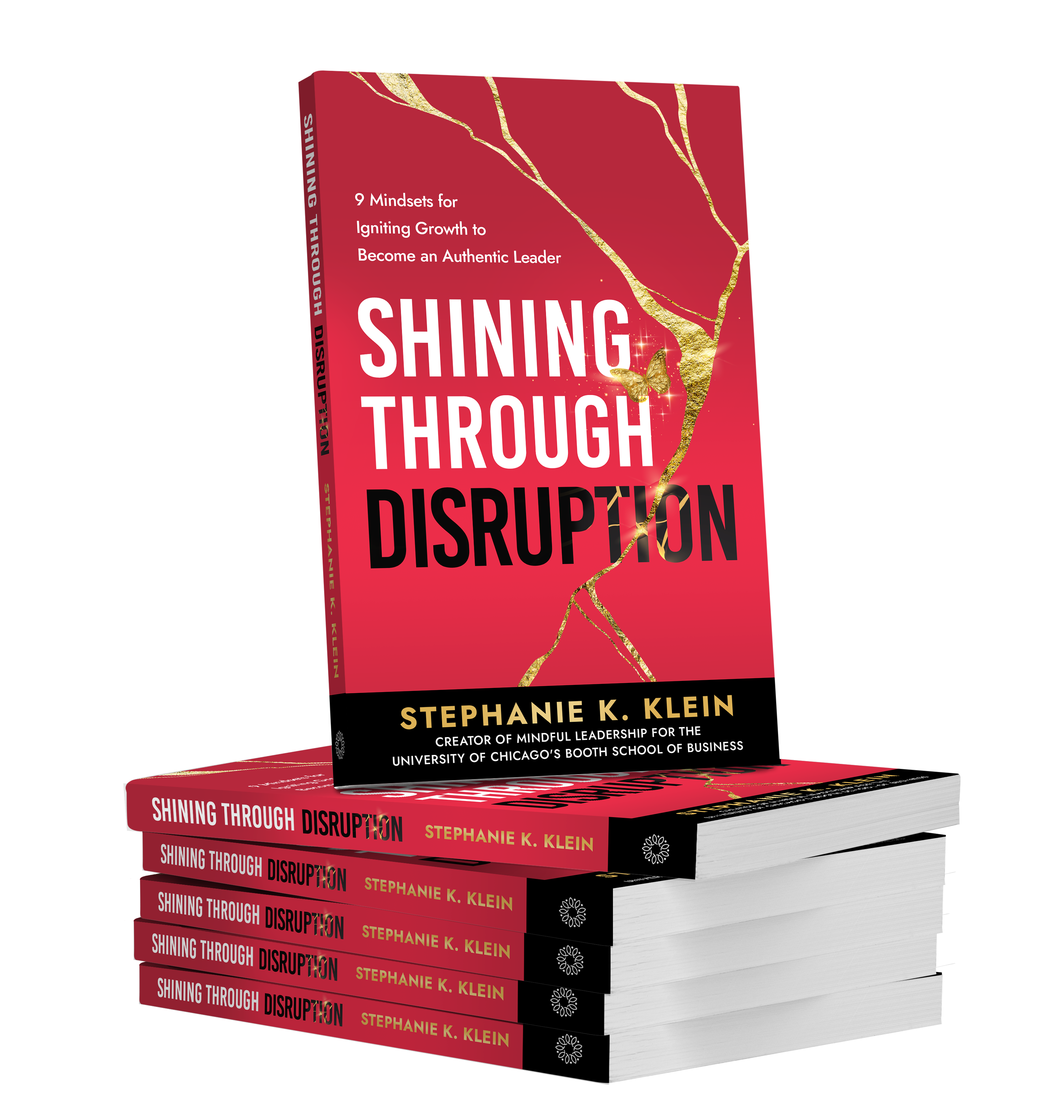 Shining Through Disruption Book