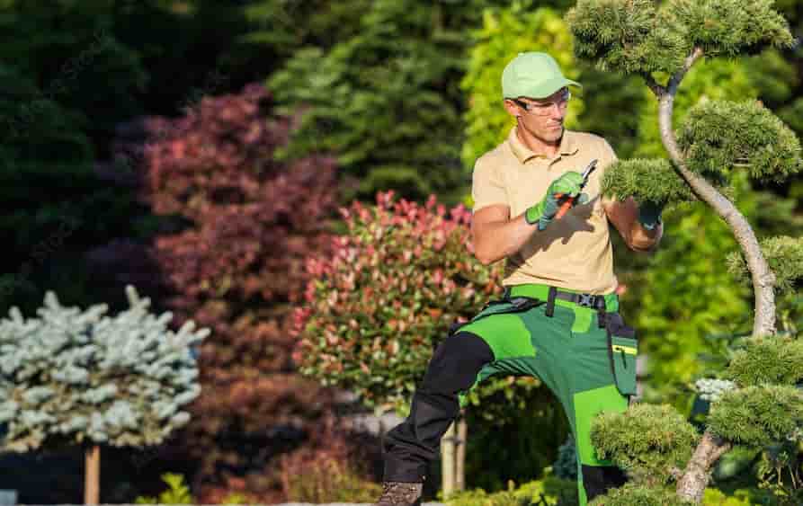 Happy Tree Services Omaha NE | We do all things Tree