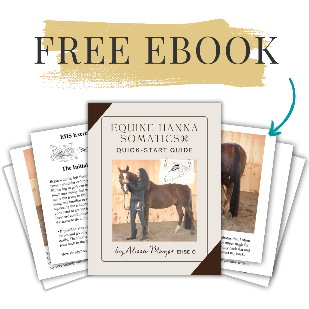 Try Equine Hanna Somatics® (FREE eBook!)