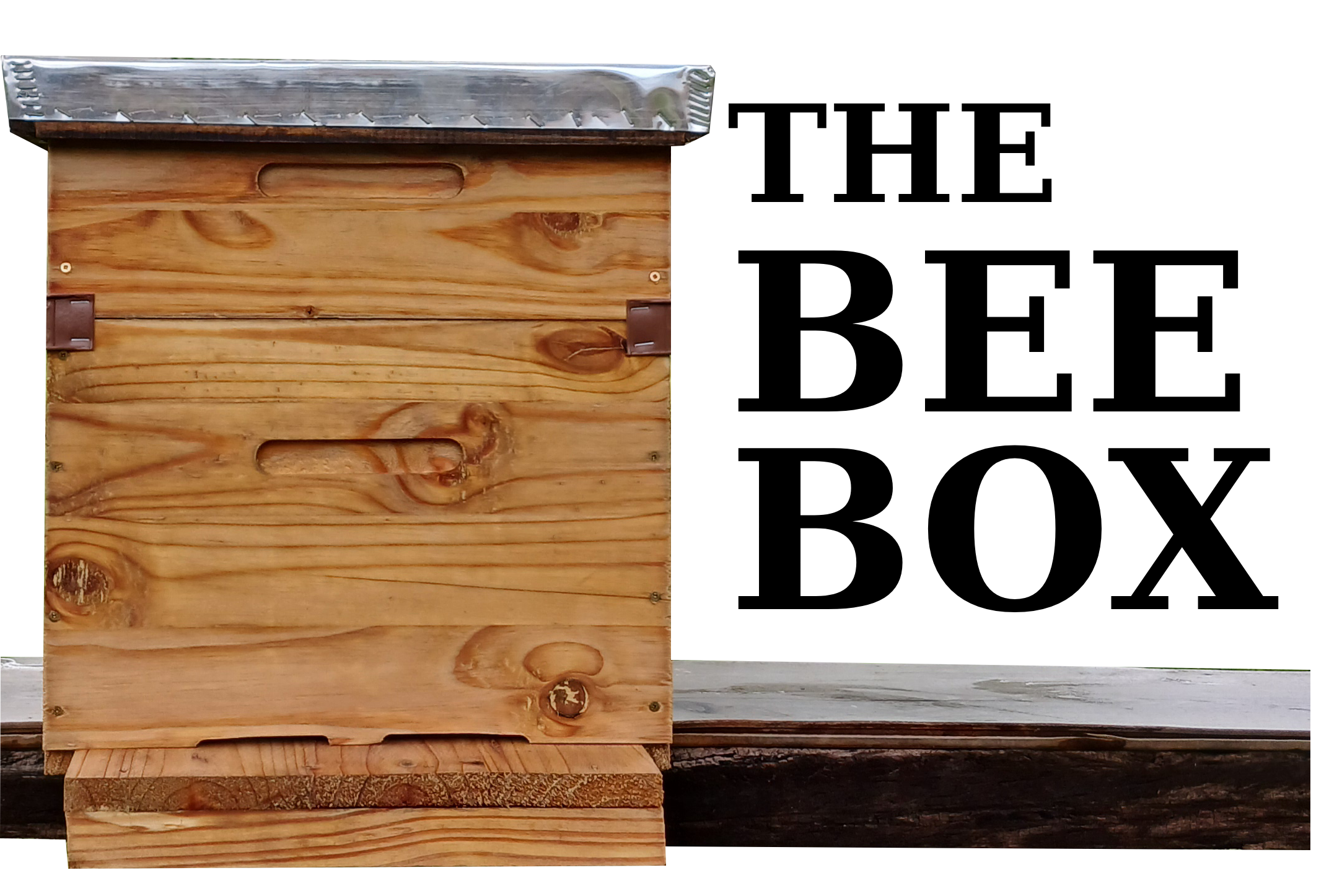 The Observation Bee Hive - Like a Nature Documentary in Your Garden