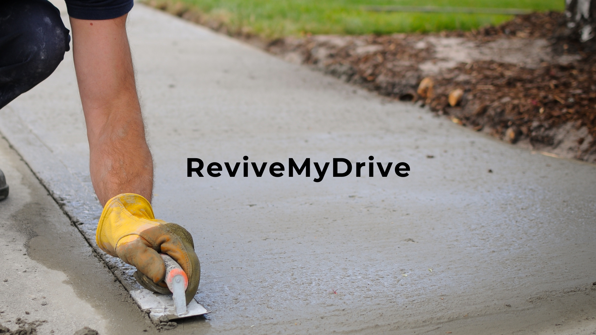 Revive My Drive