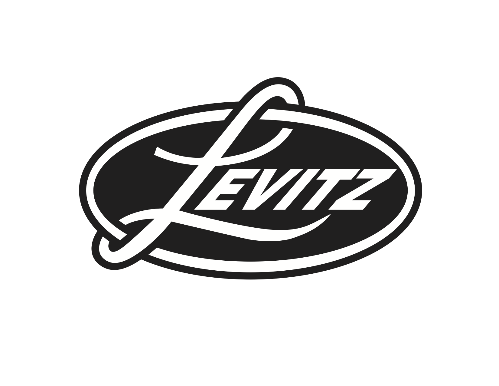 The Levitz Agency