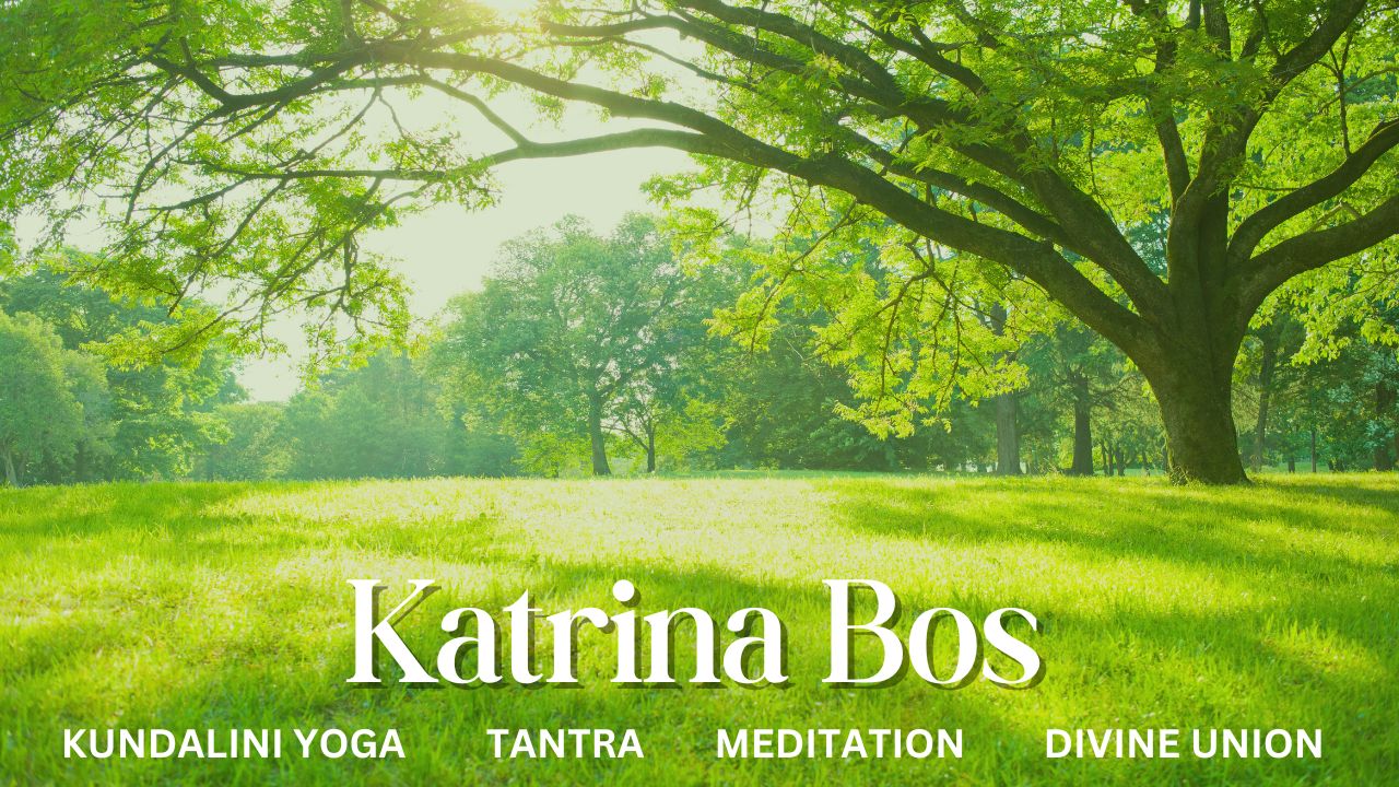 Katrina Bos Home