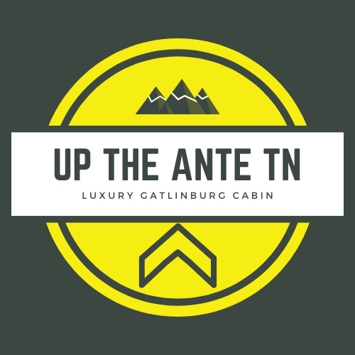 Up the Ante TN - Book Now