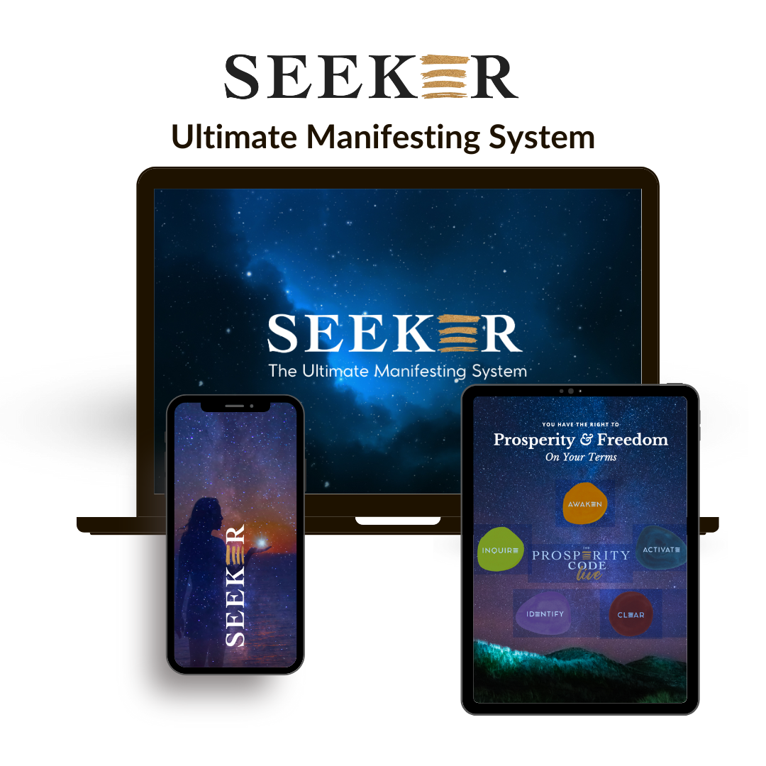 Seeker - Ignite Your Divine Operating System