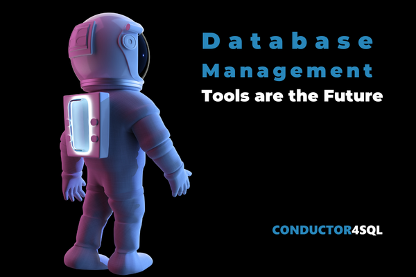 Why Database Management Systems Tools are the Future of Cost-Effective ...