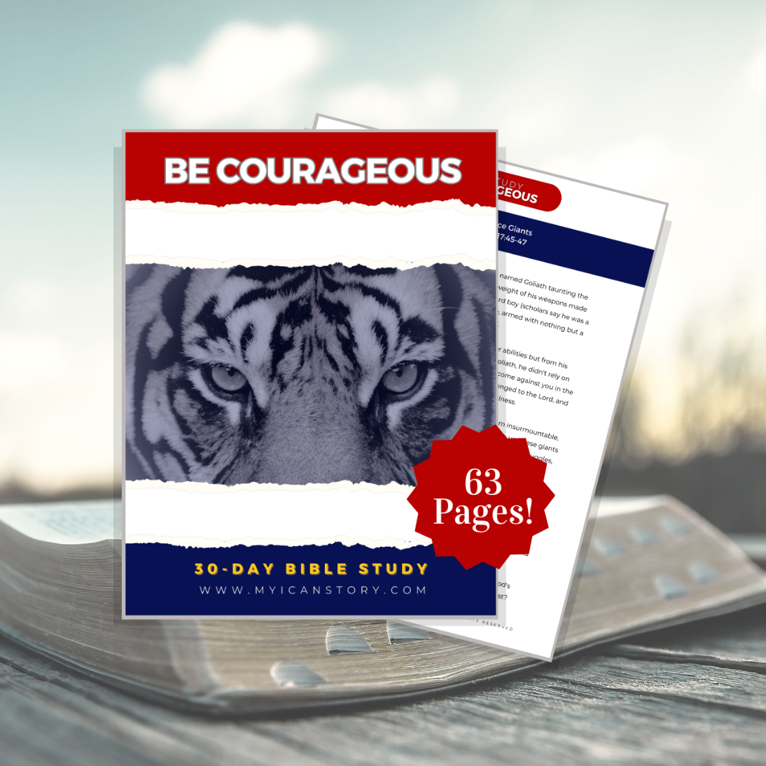 "Highly Recommend!" Be Courageous 30-day Bible Study + Journal + BONUS