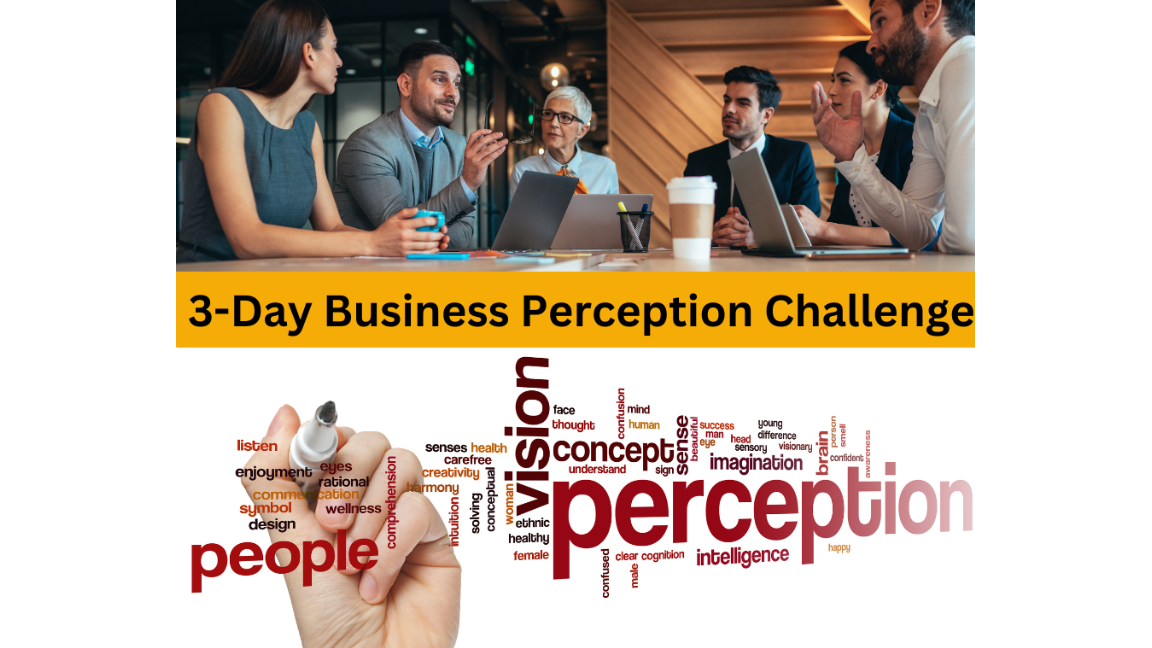 Business Perception Training