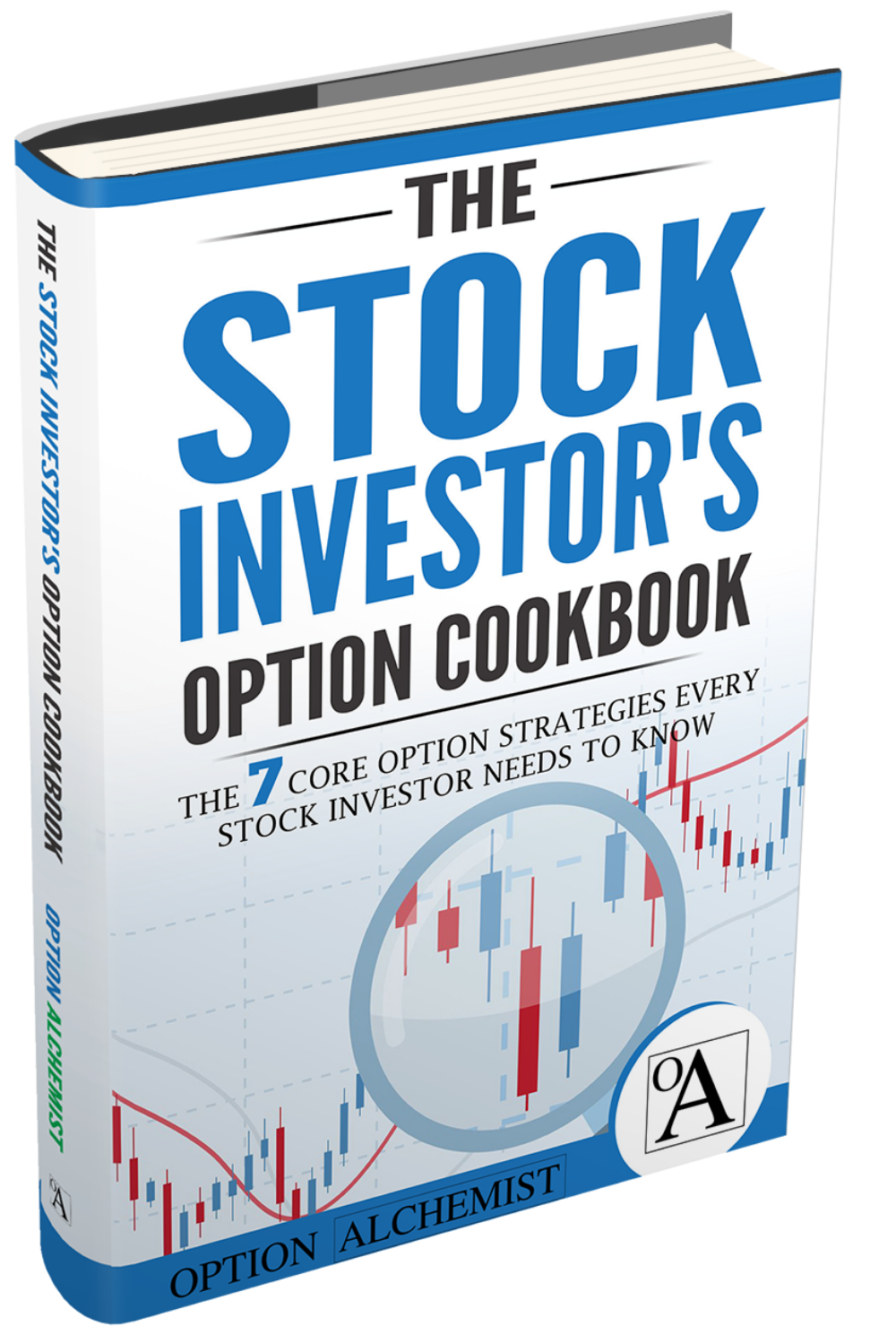 The Stock Investor's Option Cookbook