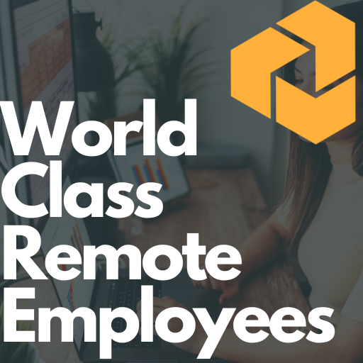 Maven Success Remote Staffing