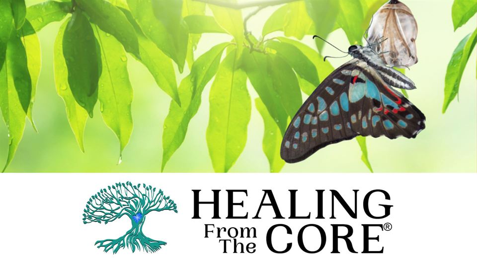 For Everyone | Healing From the Core®