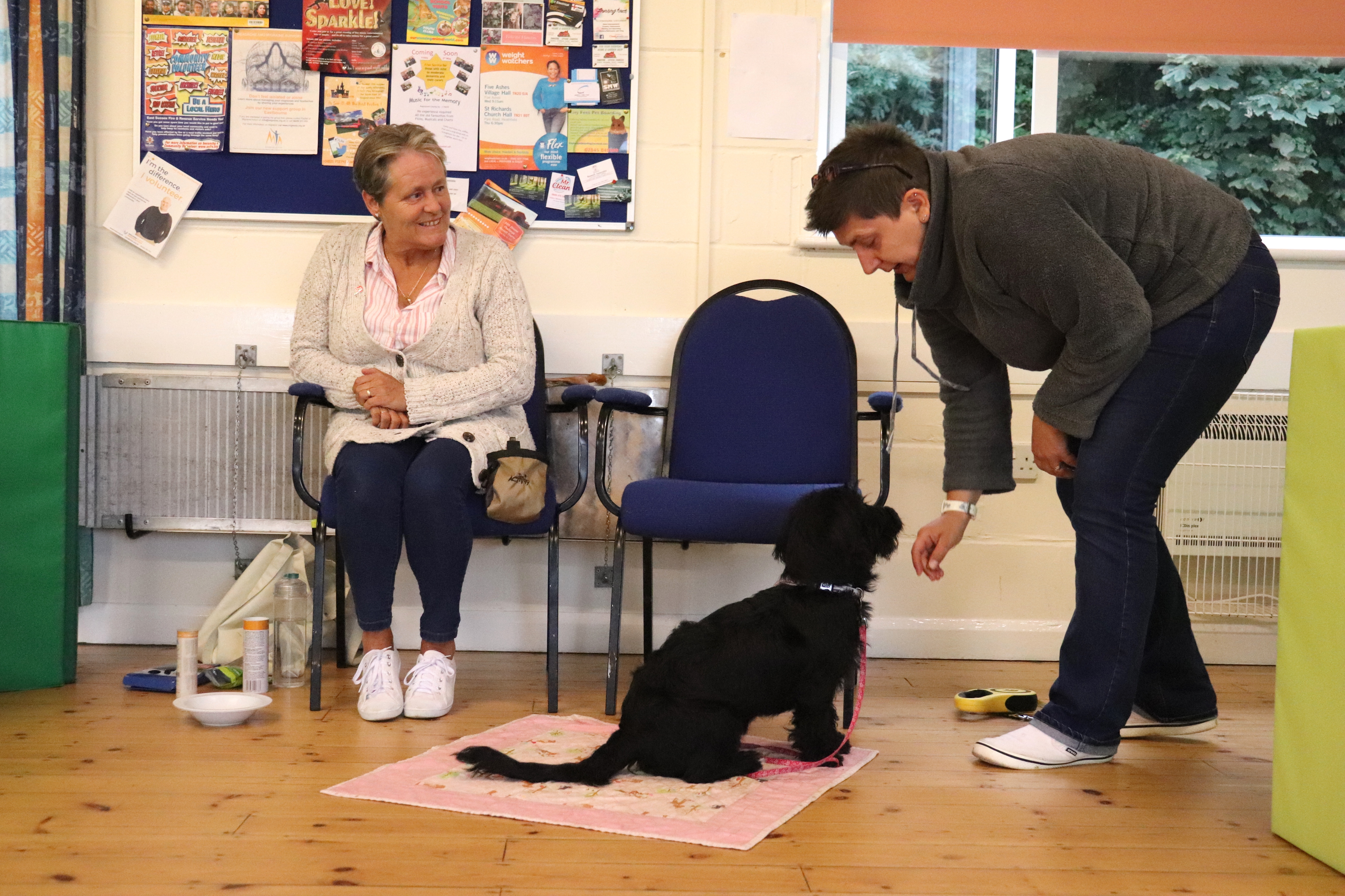 Puppy Training | Puppy School | Best Dog Training