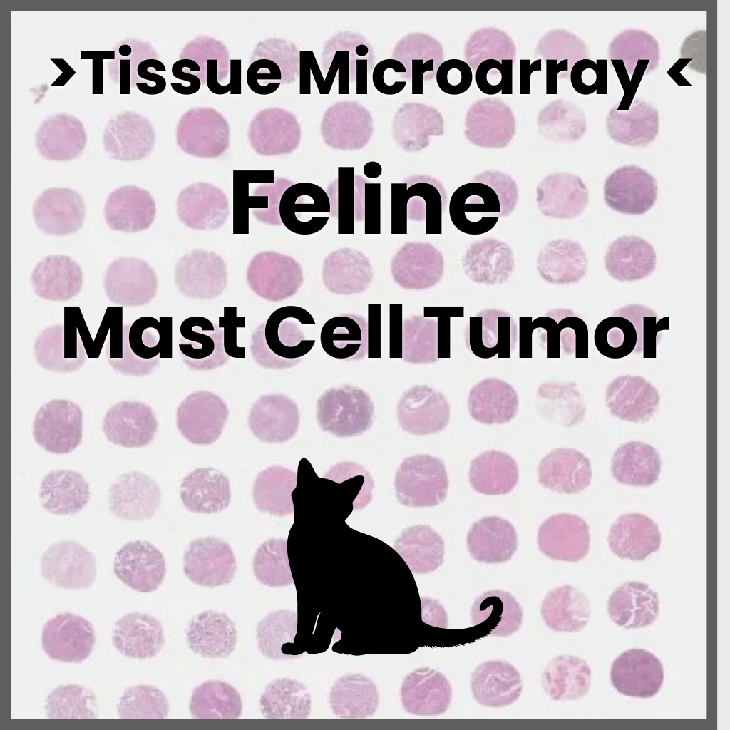 Tissue Microarray - feline mast cell tumor - TMA slides