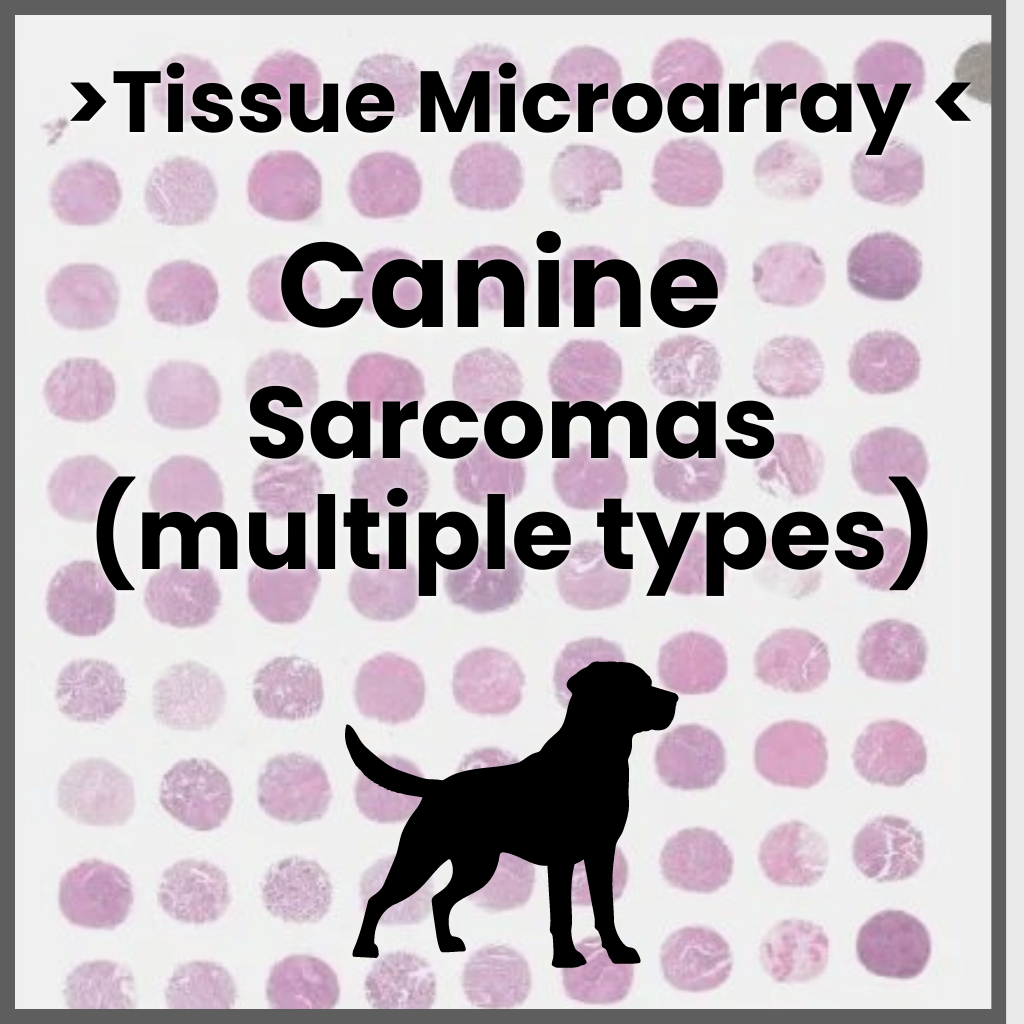 Tissue Microarray - Canine sarcoma (multiple types) - TMA slides