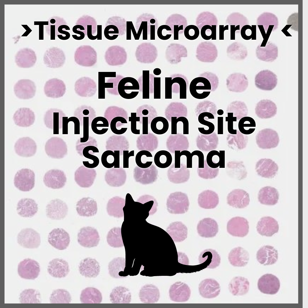 Tissuemicroarray - feline injection site sarcoma - TMA slide