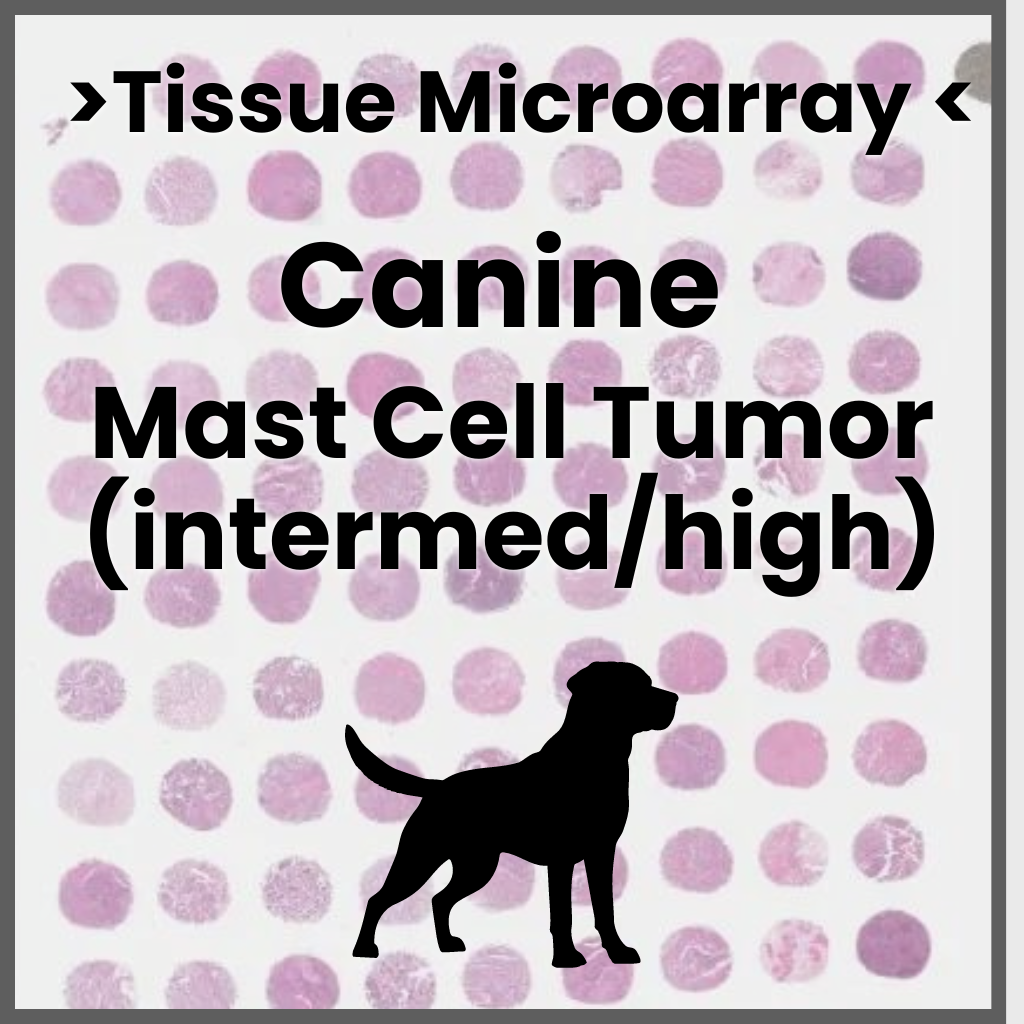 Tissue Microarray (TMA) slides - Canine Mast cell tumor high grade