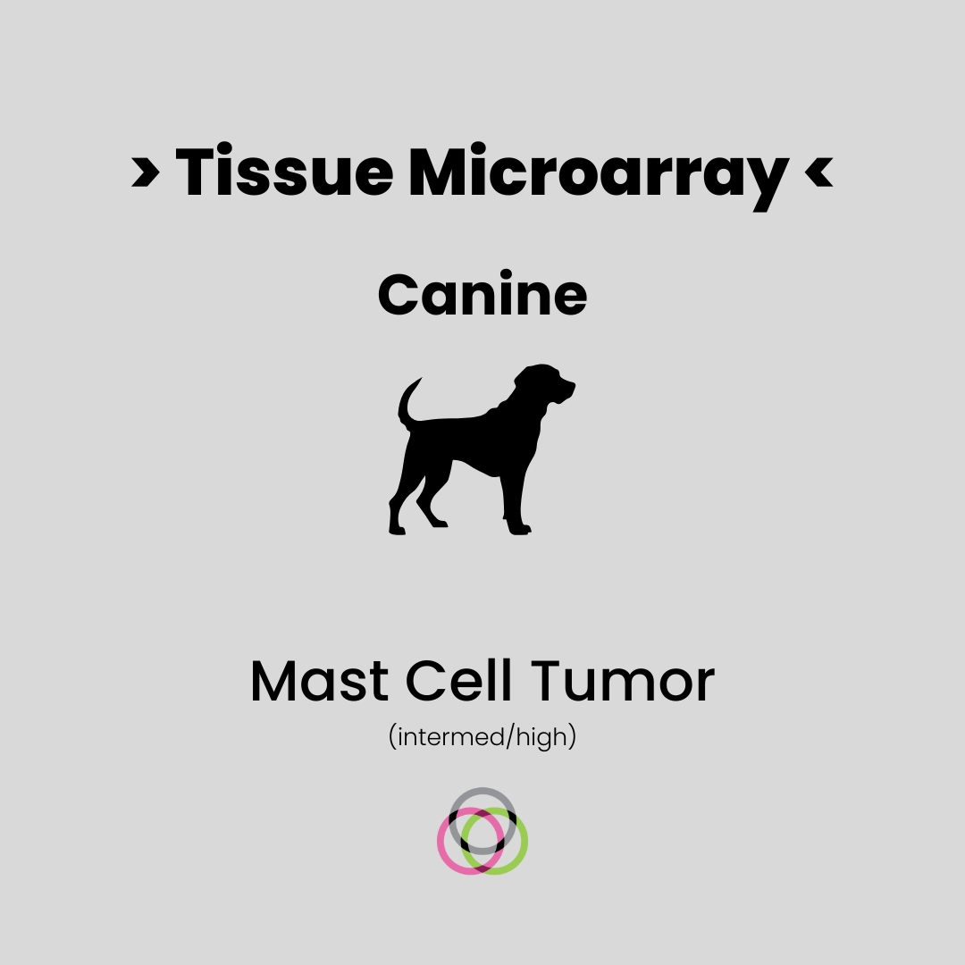 Tissue Microarray (TMA) slides - Canine Mast cell tumor high grade
