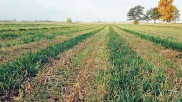 Acres U.S.A. FARM WEIRD Field Day - Gaston IN