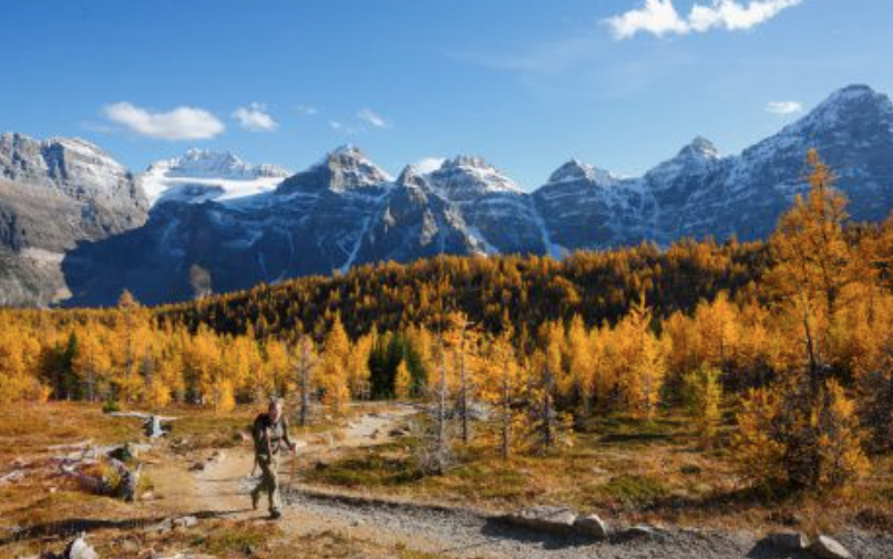 Top 10 Fall Larch Tree Hikes in Banff National Park