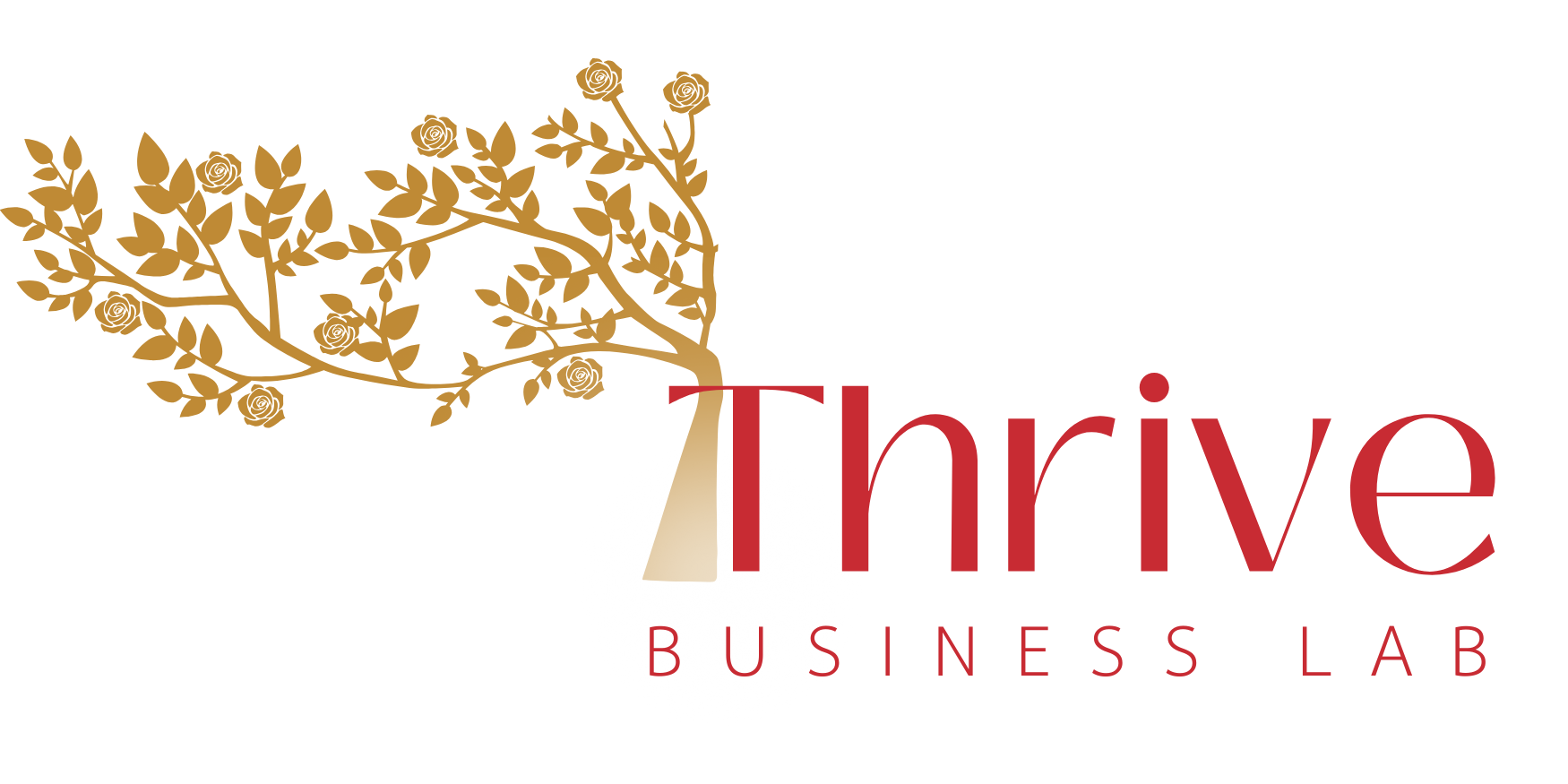 Thrive Business Lab