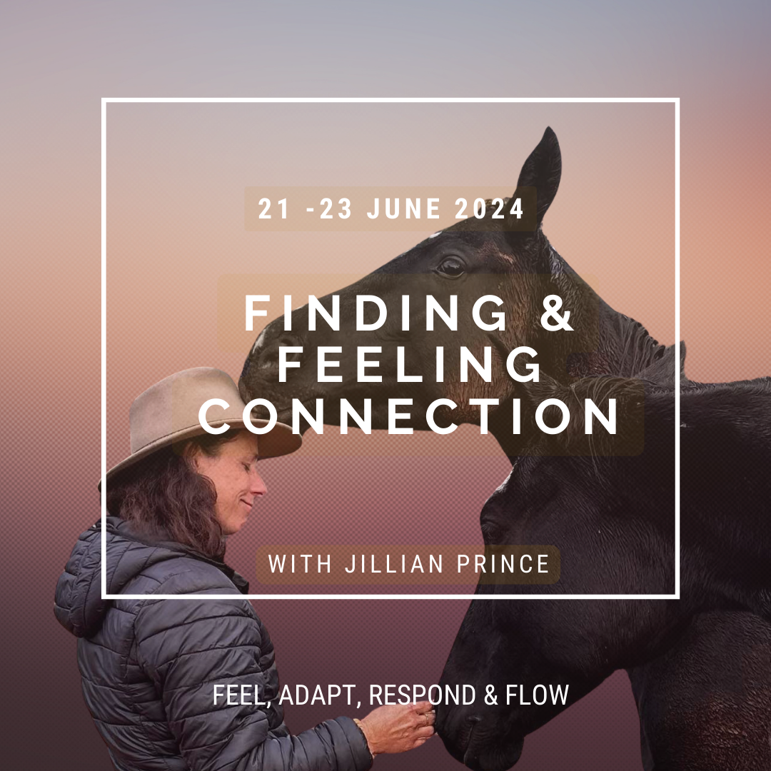 A Weekend of Exploring Connections